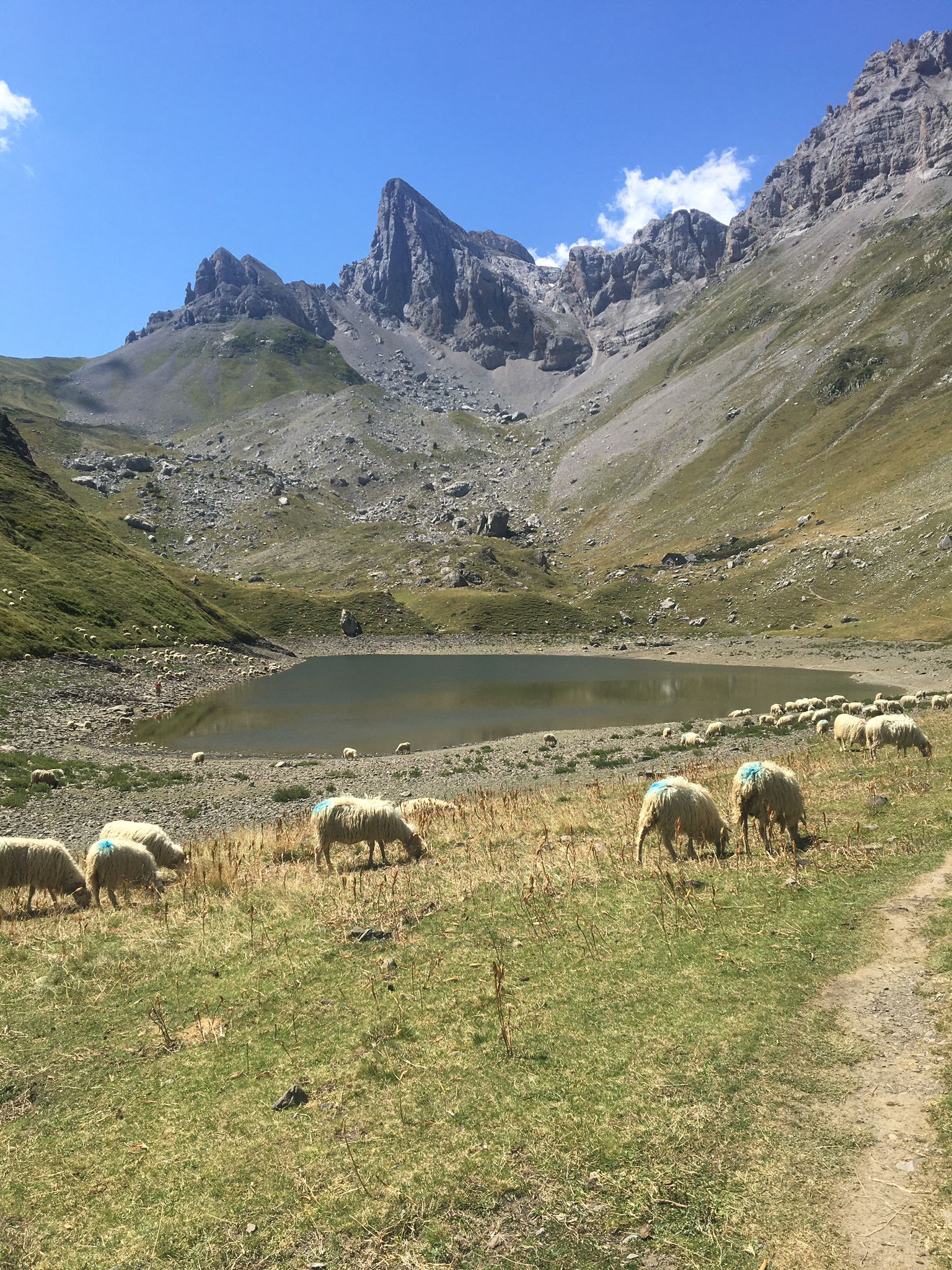 All Posts - Im/mediations